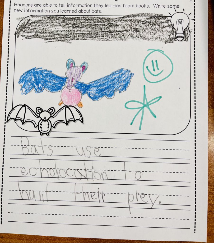 Lincoln First Graders Study Bats - Lincoln School
