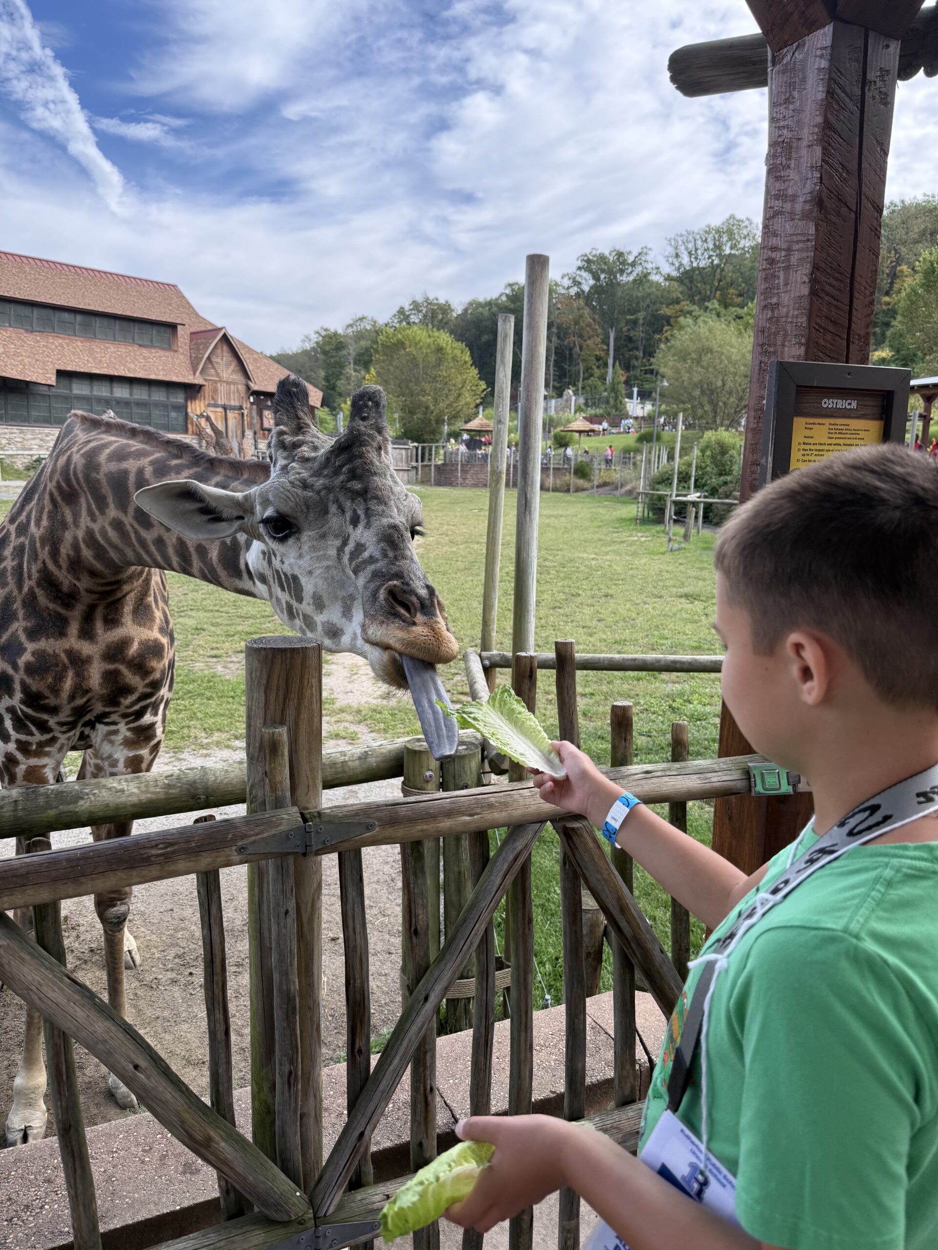 Beautiful Day at Turtle Back Zoo - Lincoln School