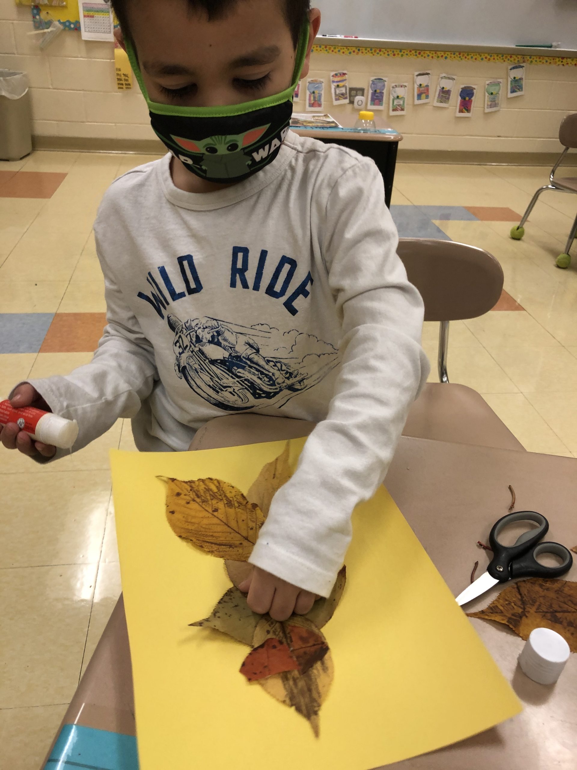 Investigating Leaves - Washington School