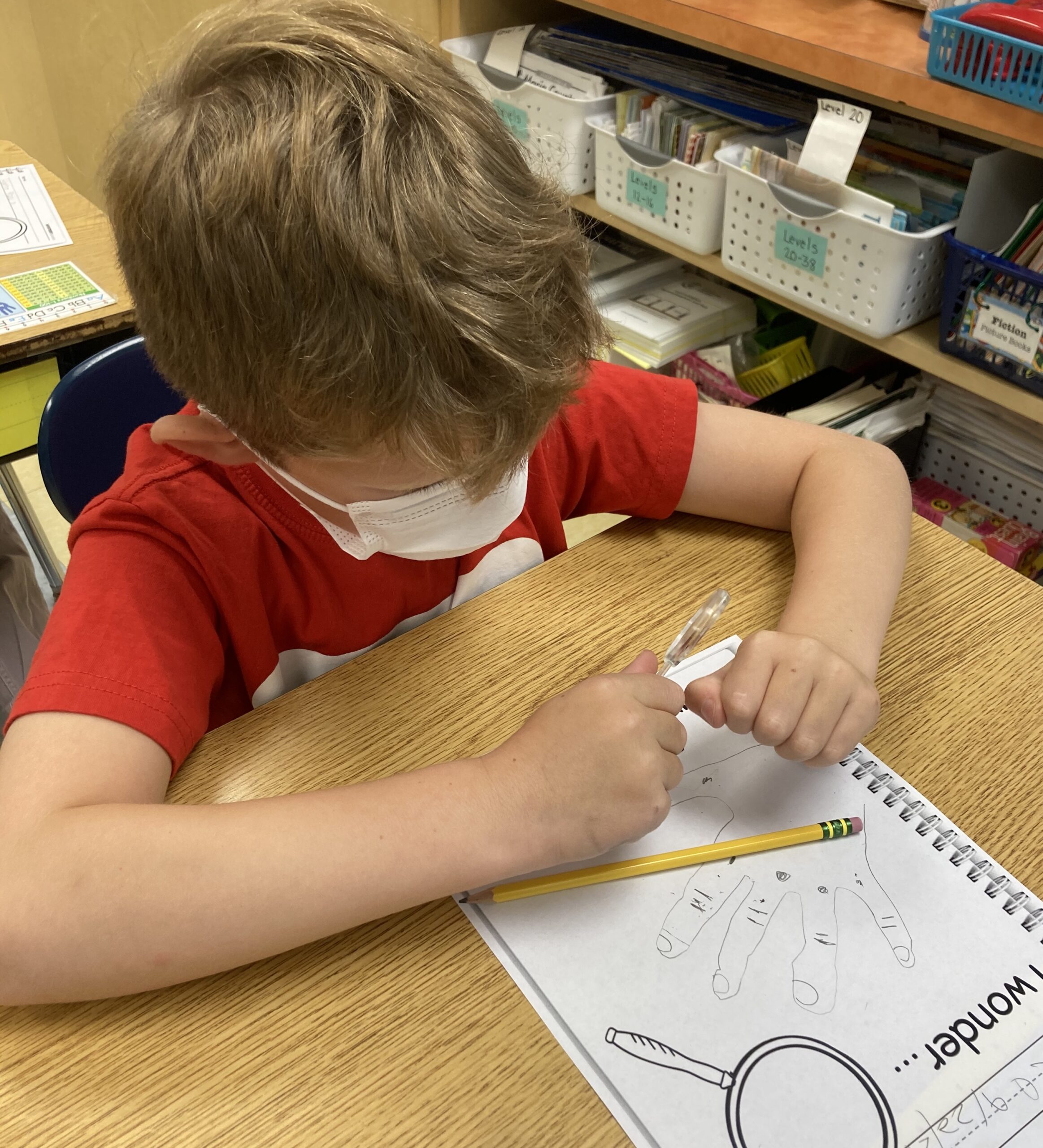 Curious Scientists - Washington School