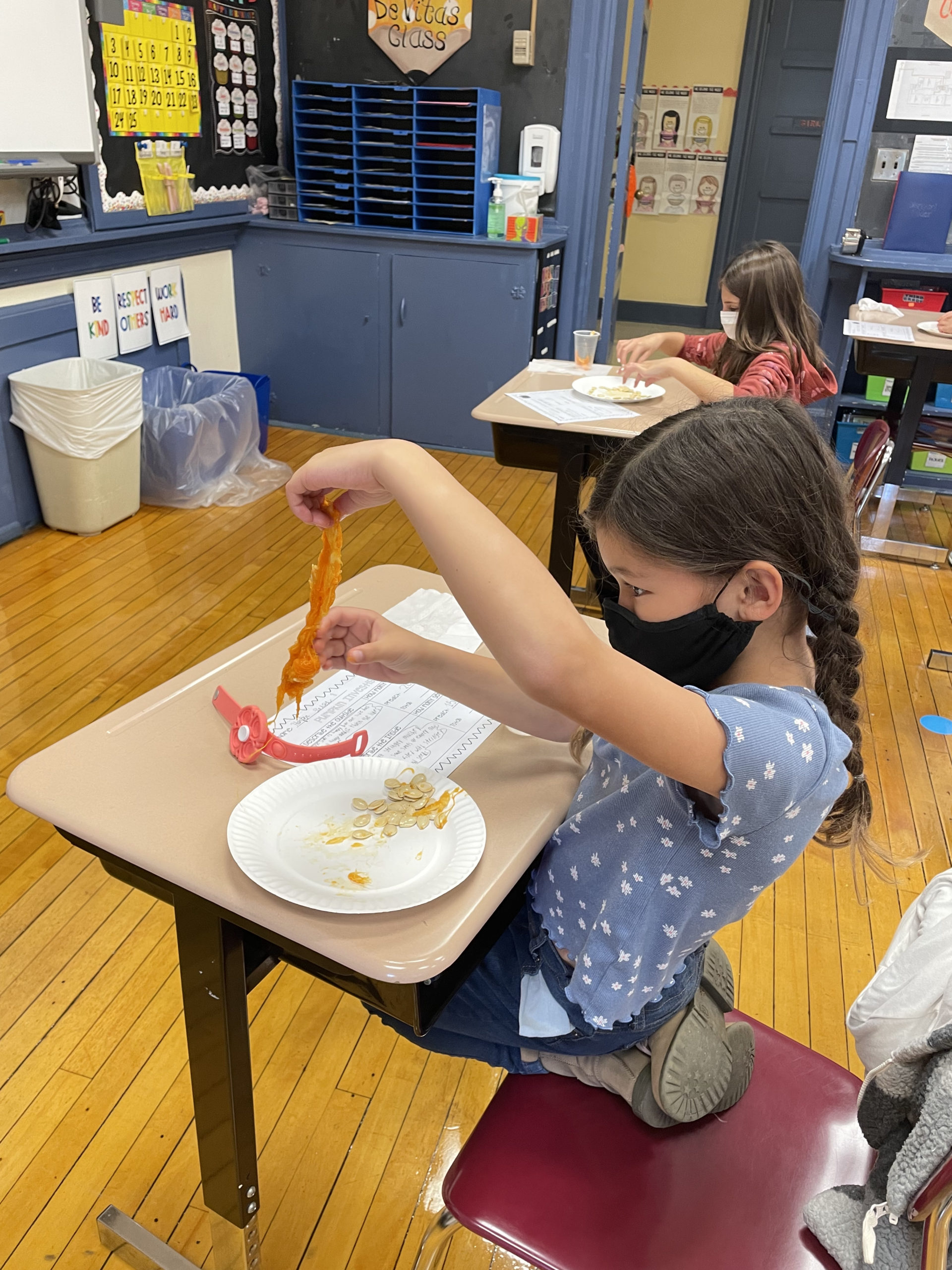 Pumpkin Investigation - Washington School