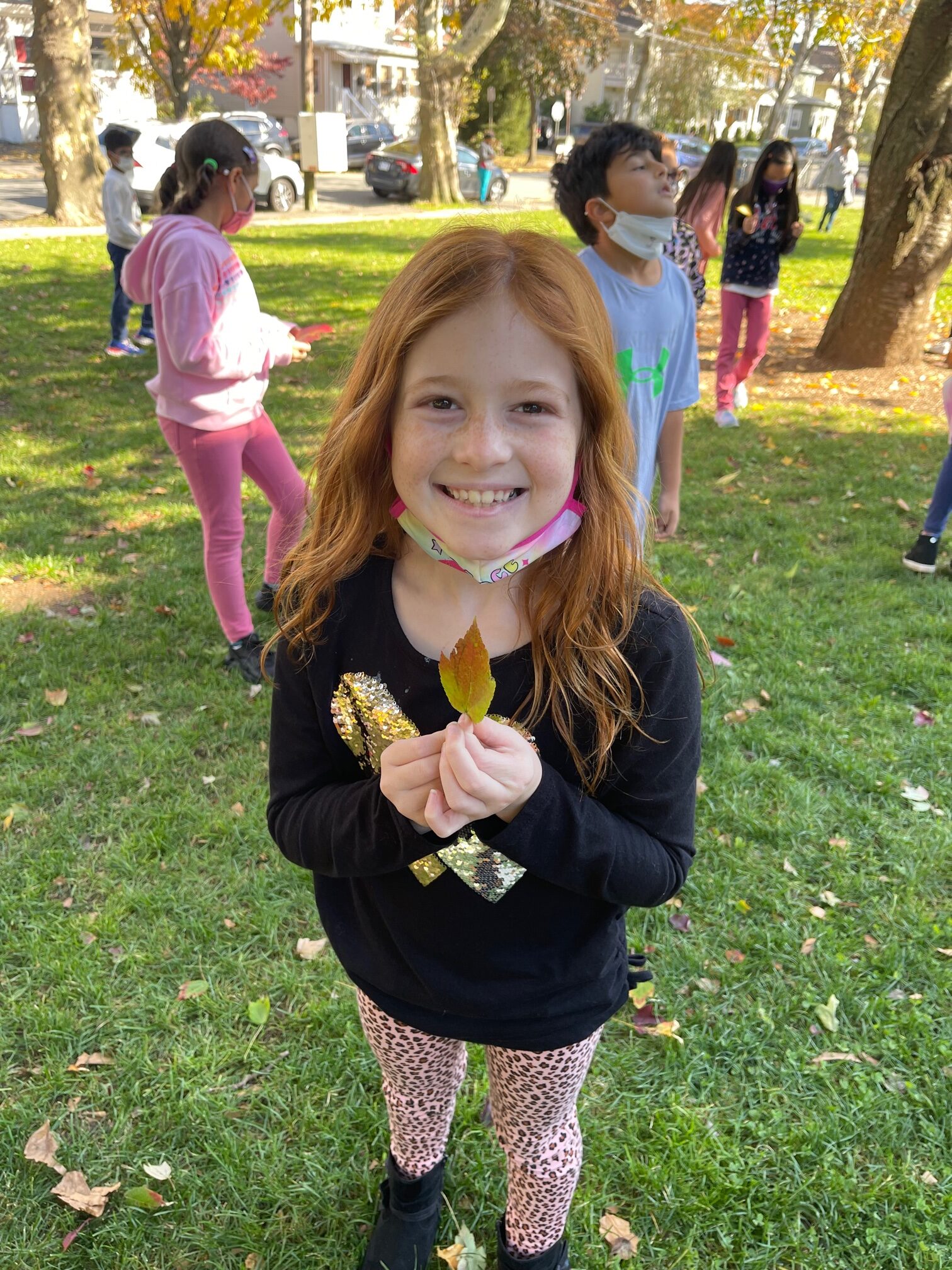 Descriptive Fall Writing - Washington School