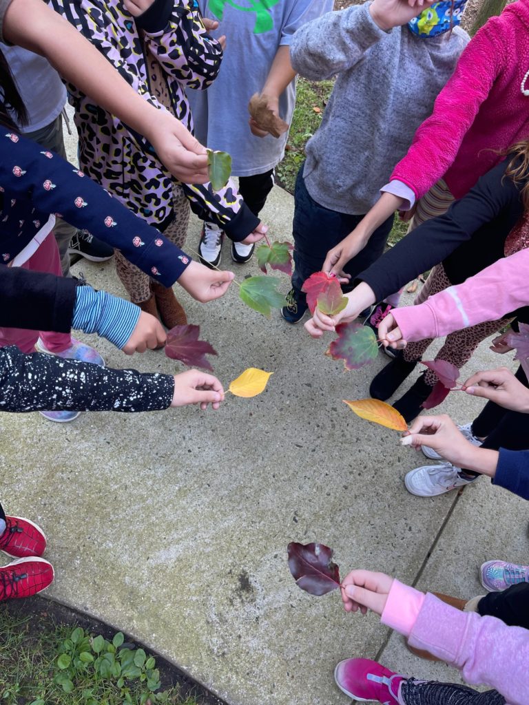 Descriptive Fall Writing - Washington School