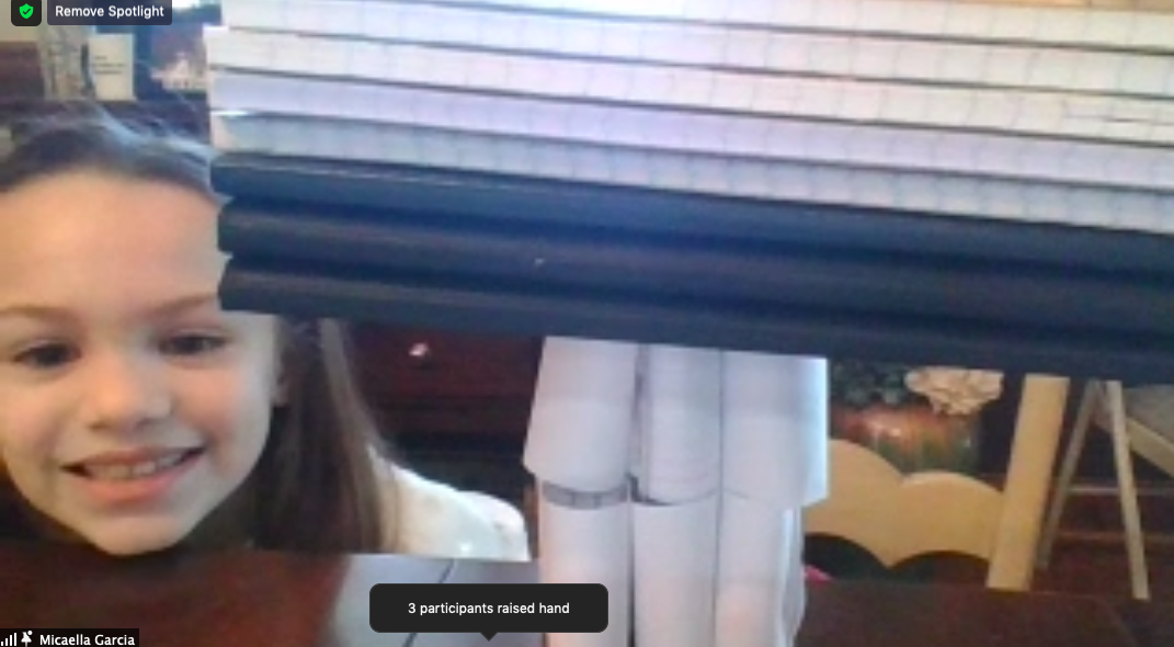 STEM Activities - Rutherford Public Schools